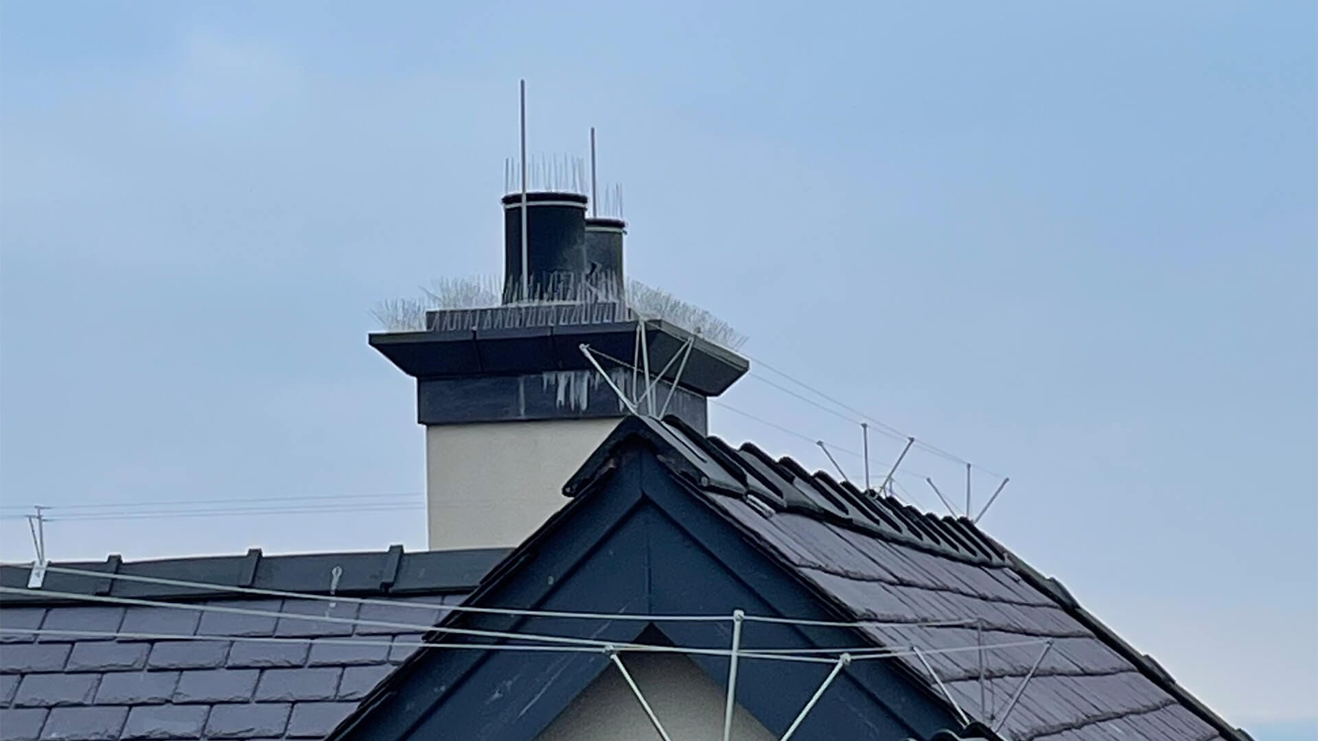 Bird Proofing Wirral | Servos Exterior Cleaning
